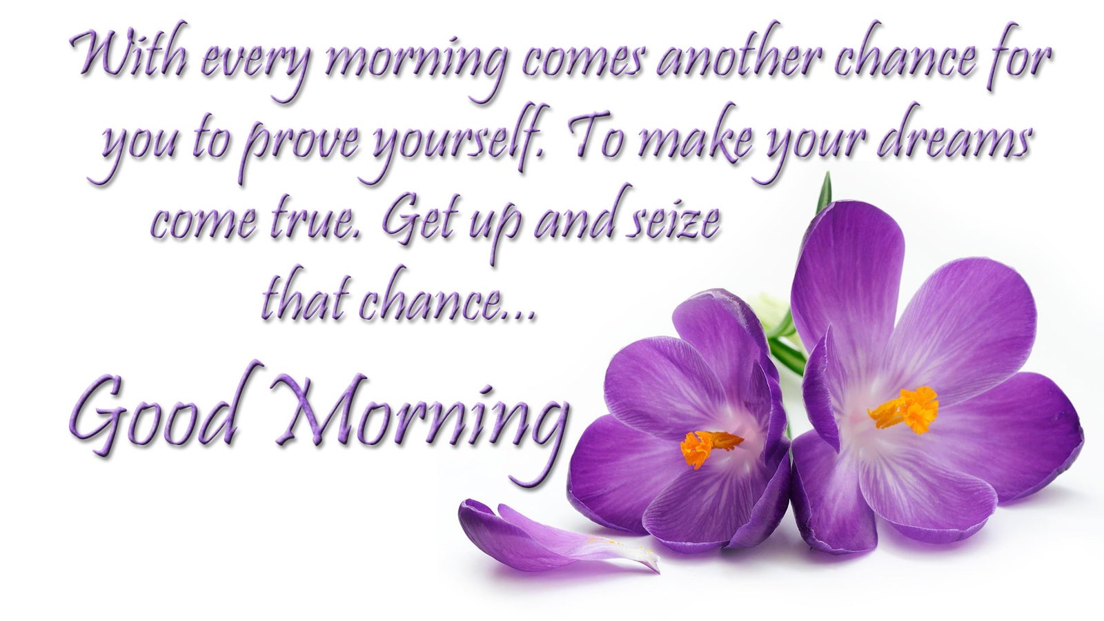 Good Morning Quotes HD Images | Morning Greetings & Messages