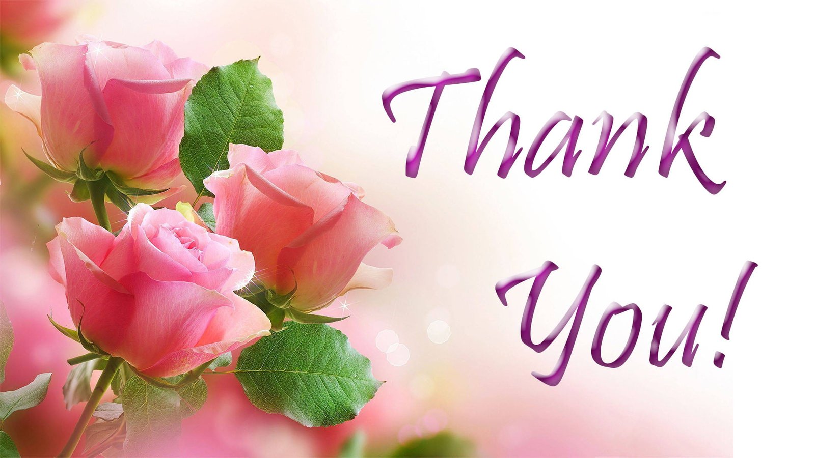 Thank You Images & HD Pictures | Thank u Images Free Download
