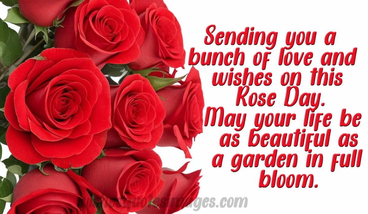 Happy Rose Day Wishes & Messages With Images