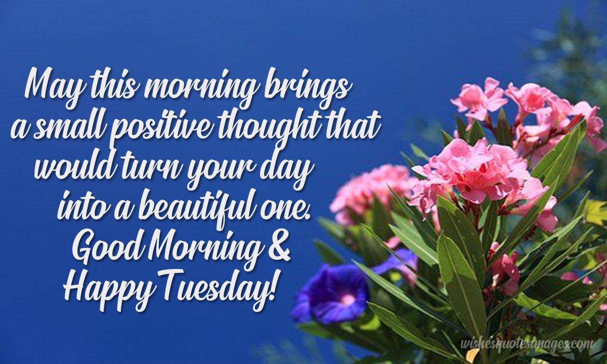 Happy Tuesday Wishes & Quotes | Tuesday Morning Messages