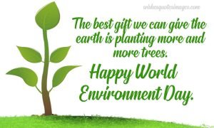 Happy Environment Day Quotes & Messages With Images