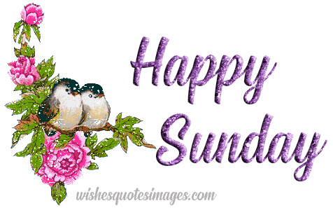 Happy Sunday Quotes, Wishes & Messages | Good Morning Sunday