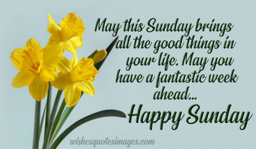 Happy Sunday Quotes, Wishes & Messages | Good Morning Sunday