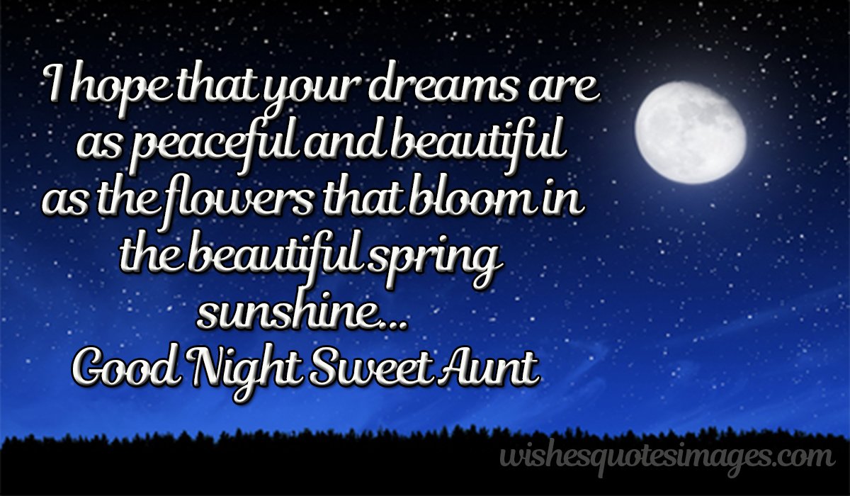 Good Night Aunt Wishes, Messages & Quotes With Images