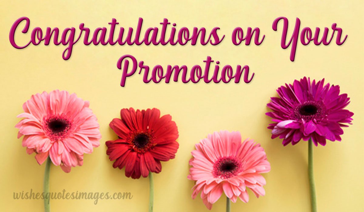 Congratulations On Your Promotion Wishes, Quotes & Messages
