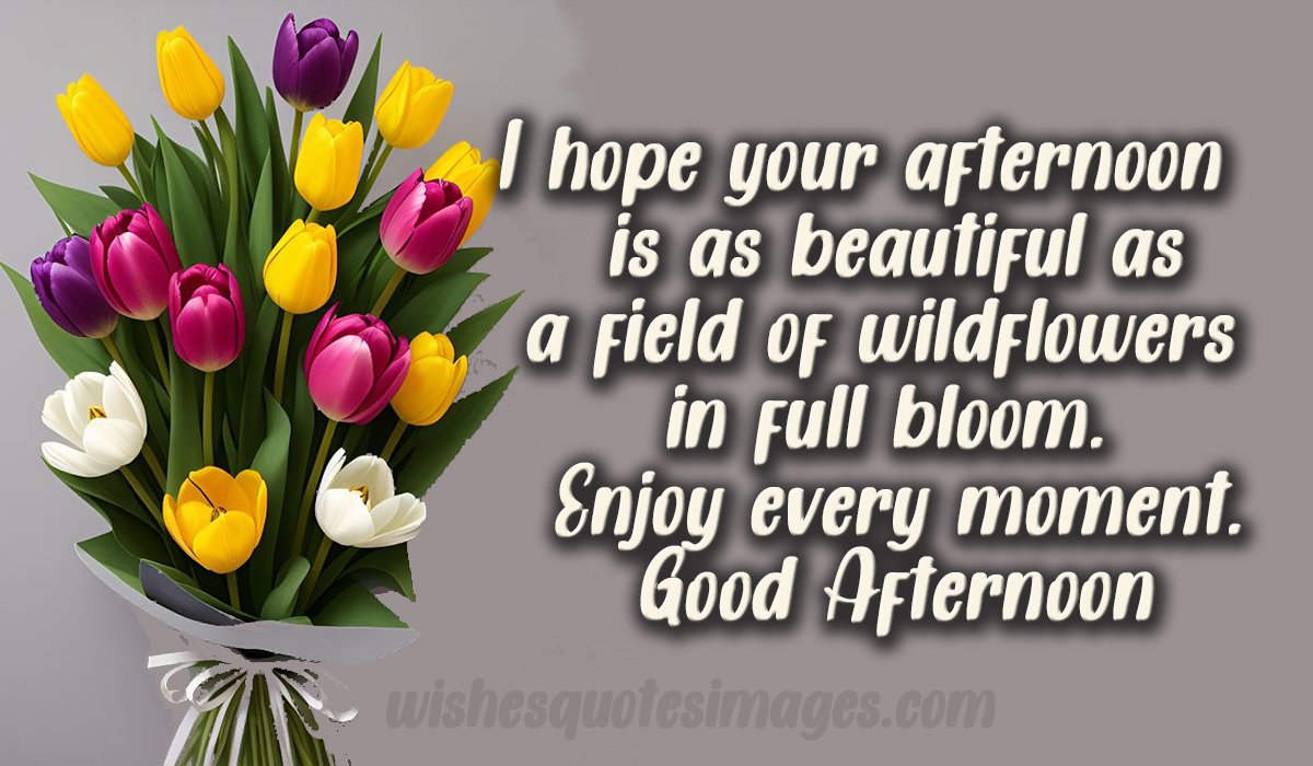 Good Afternoon Messages & Quotes With Images